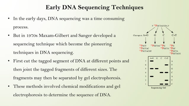 The development of DNA sequencing Technology.pptx