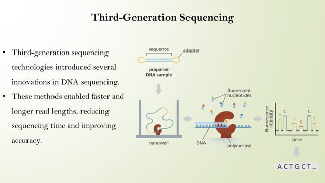 The development of DNA sequencing Technology.pptx
