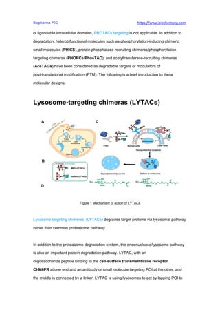 The Development of Heterobifunctional Molecules.pdf | Biotech and ...
