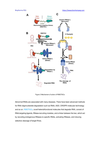 The Development of Heterobifunctional Molecules.pdf | Biotech and ...
