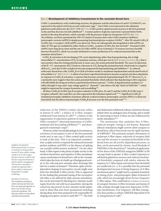 The development of nociceptive circuits | PDF