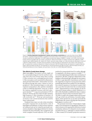 The development of nociceptive circuits | PDF