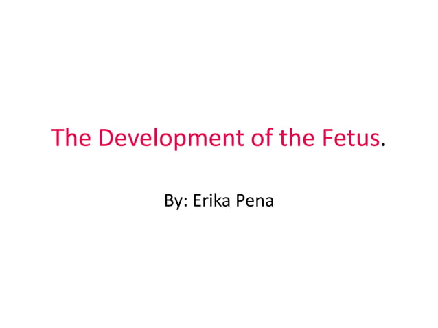 The development of the fetus | PPTX