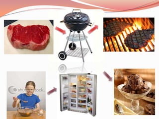 The Dynamic Food Replicator | PPTX | Genetics | Science