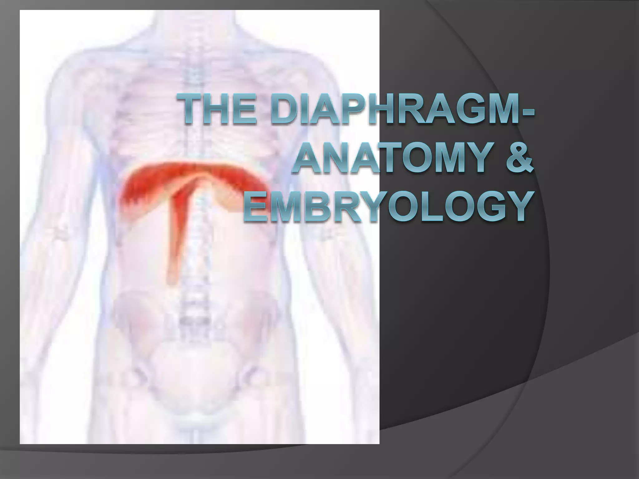 The diaphragm anatomy & embryology | PPTX