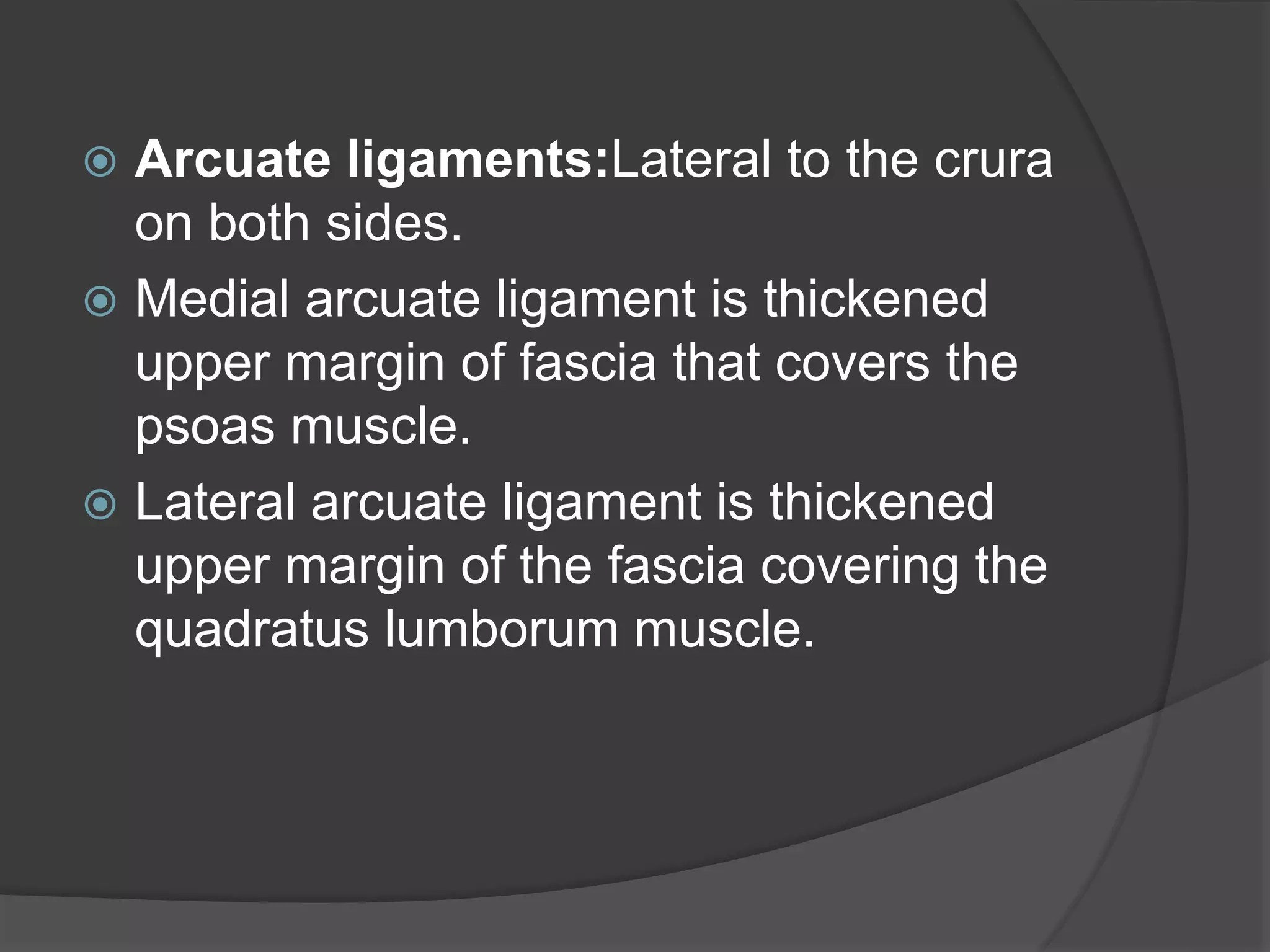 The diaphragm anatomy & embryology | PPTX