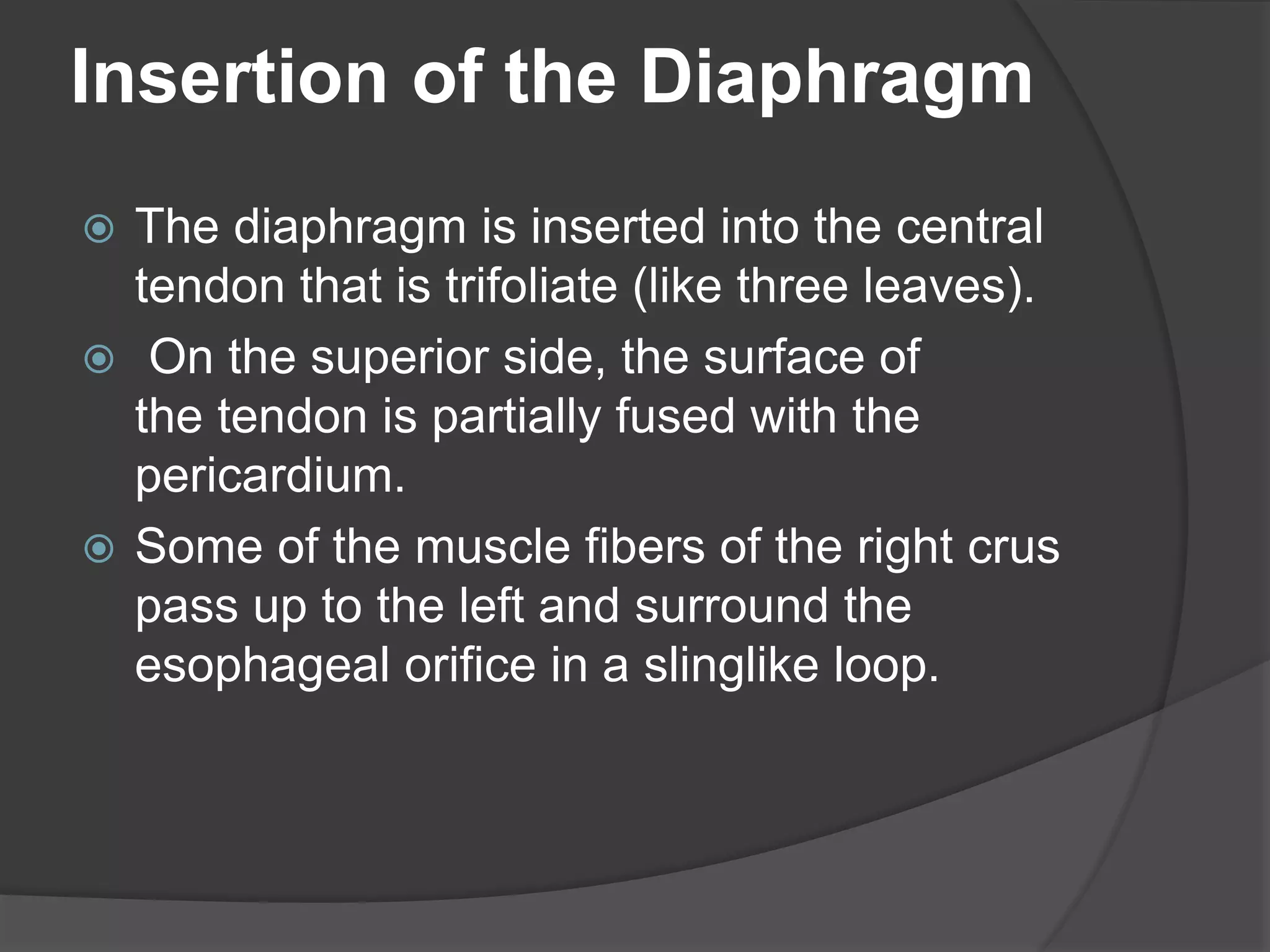 The diaphragm anatomy & embryology | PPTX