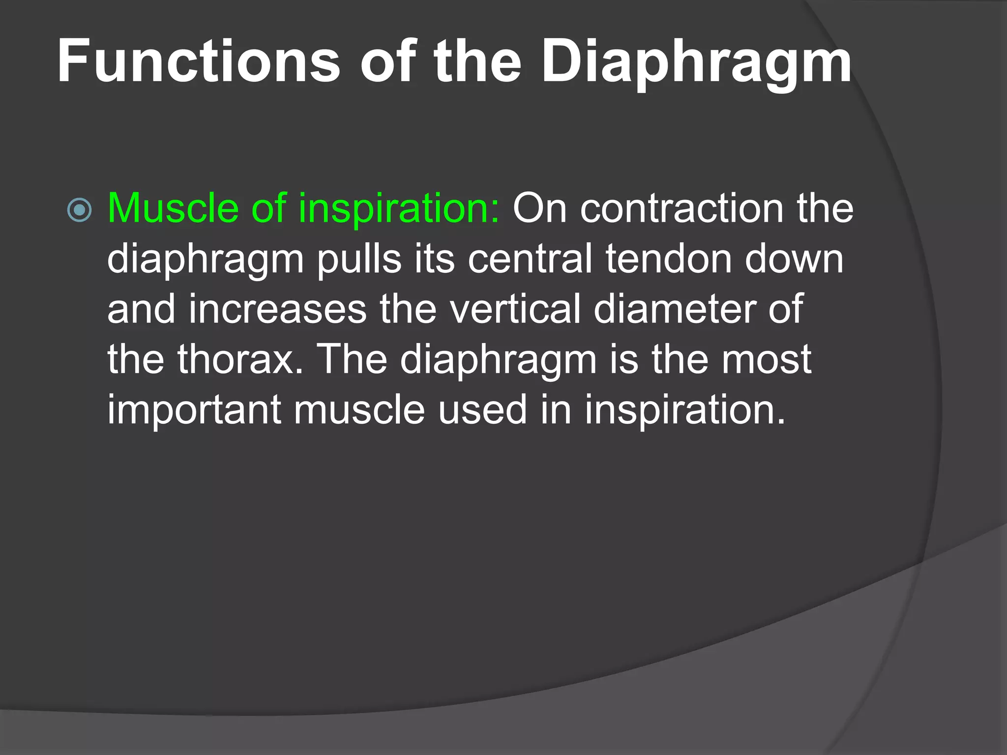 The diaphragm anatomy & embryology | PPTX