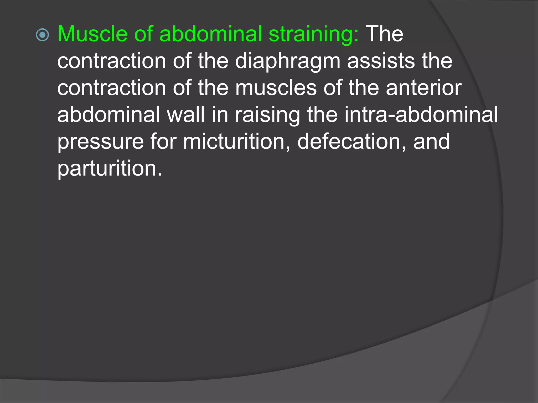 The diaphragm anatomy & embryology | PPTX