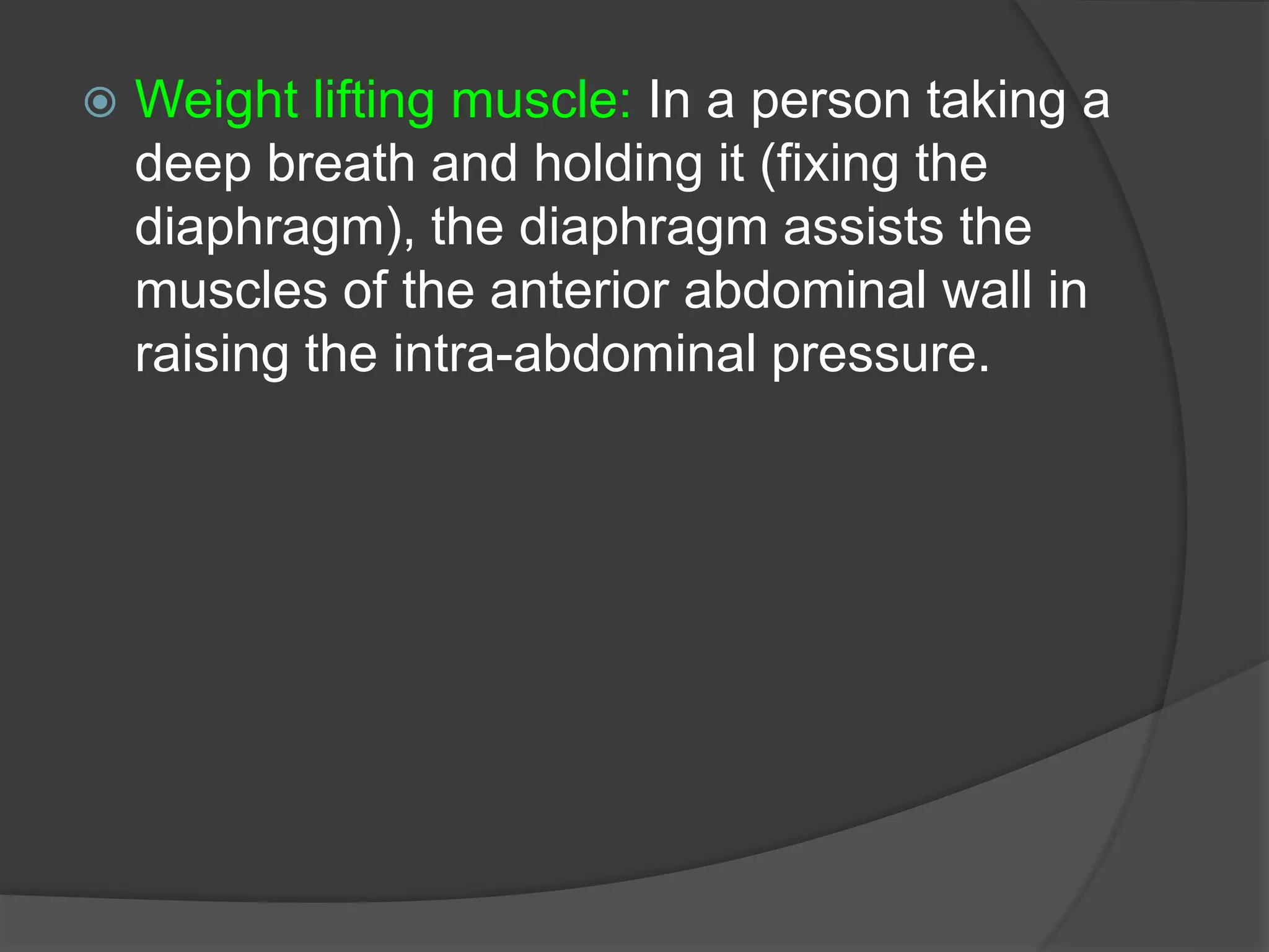 The diaphragm anatomy & embryology | PPTX