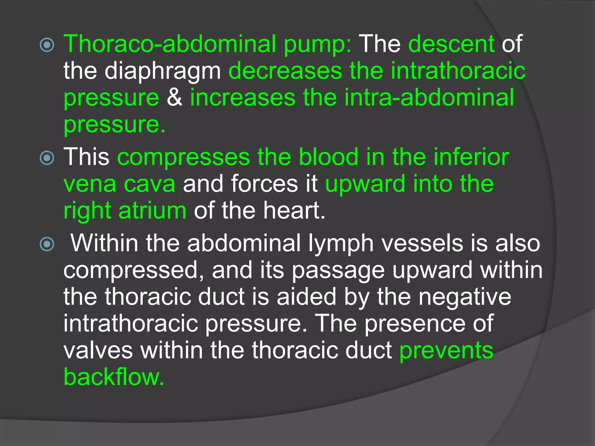 The diaphragm anatomy & embryology | PPTX