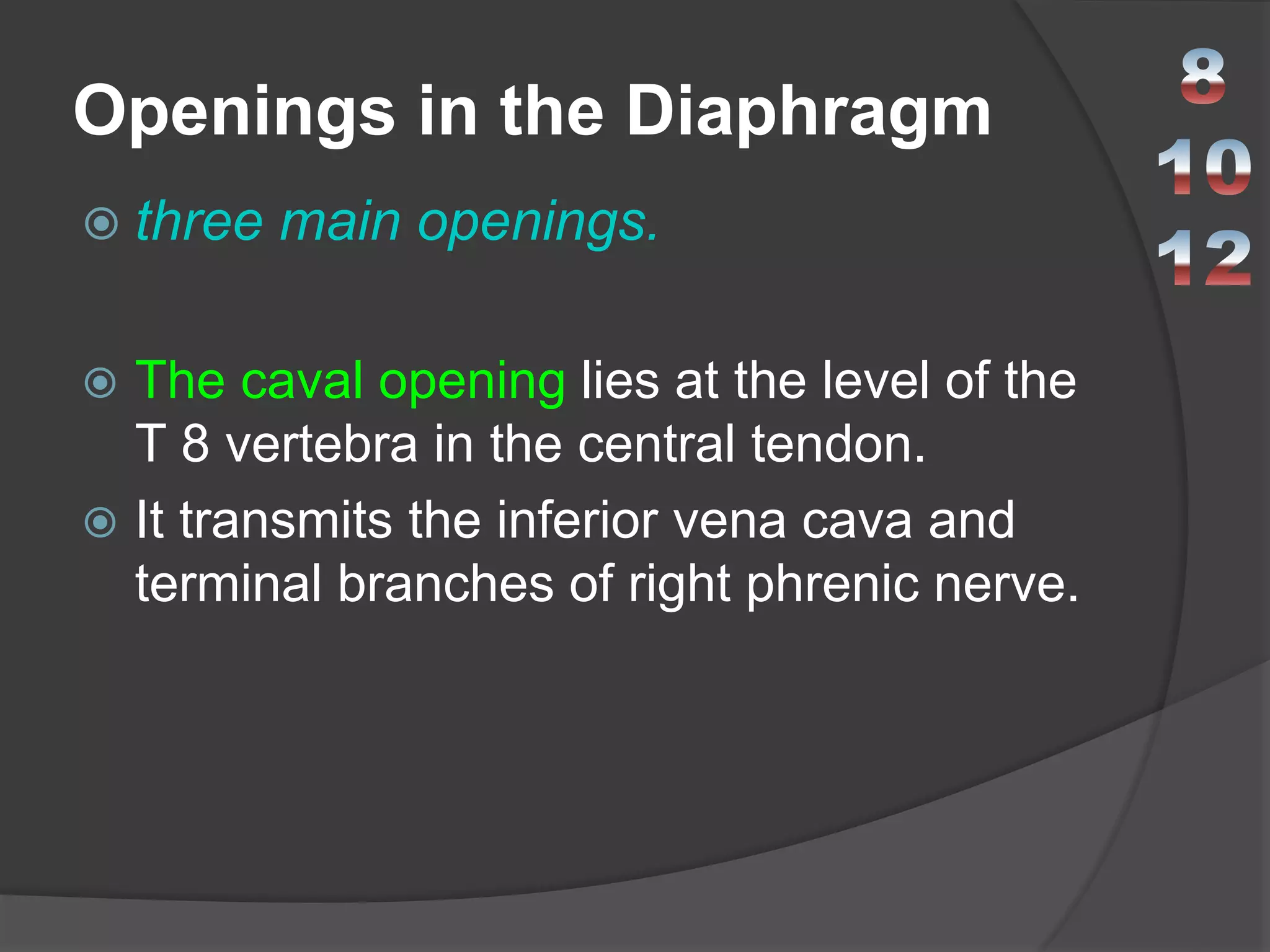 The diaphragm anatomy & embryology | PPTX