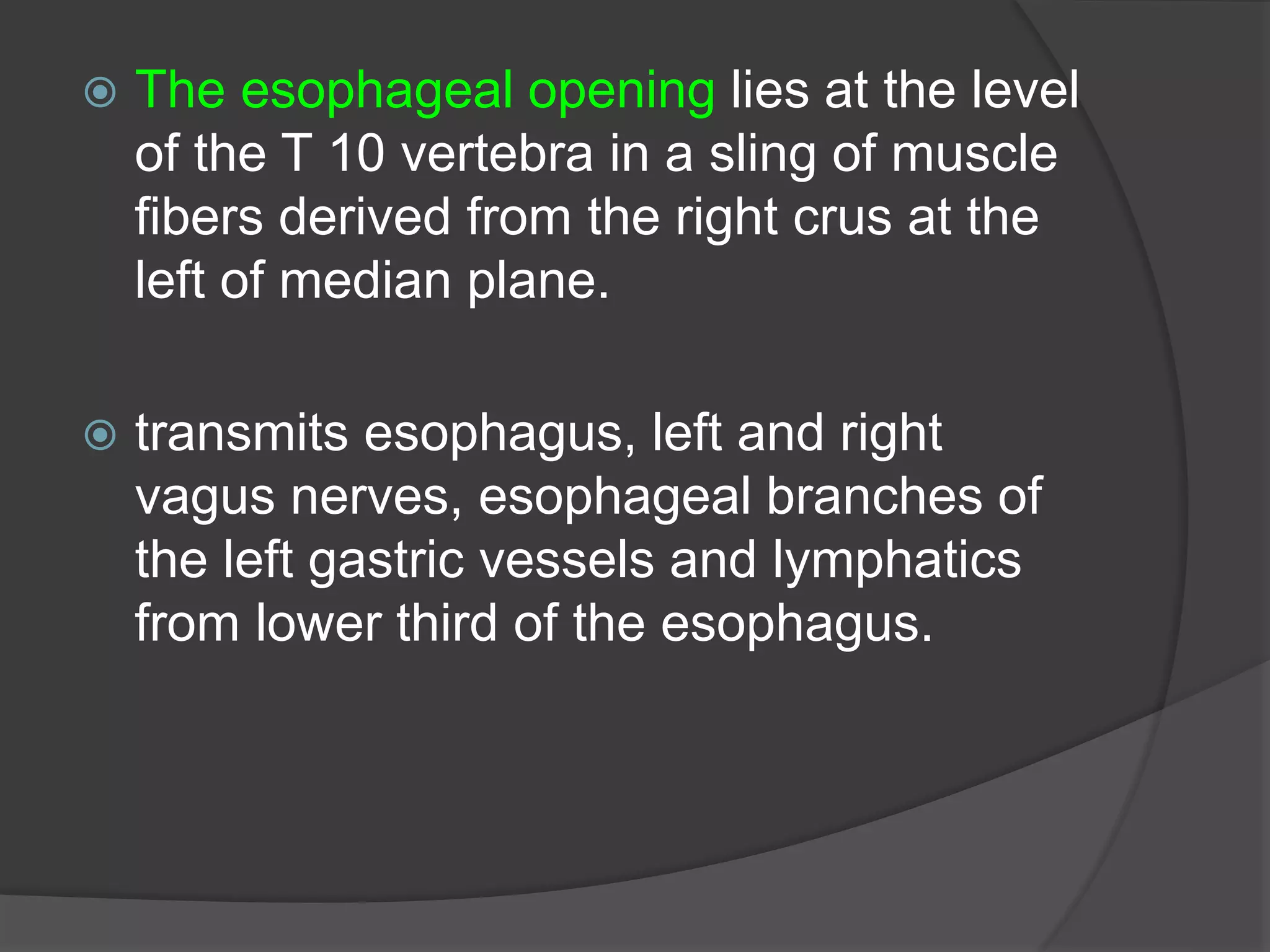 The diaphragm anatomy & embryology | PPTX