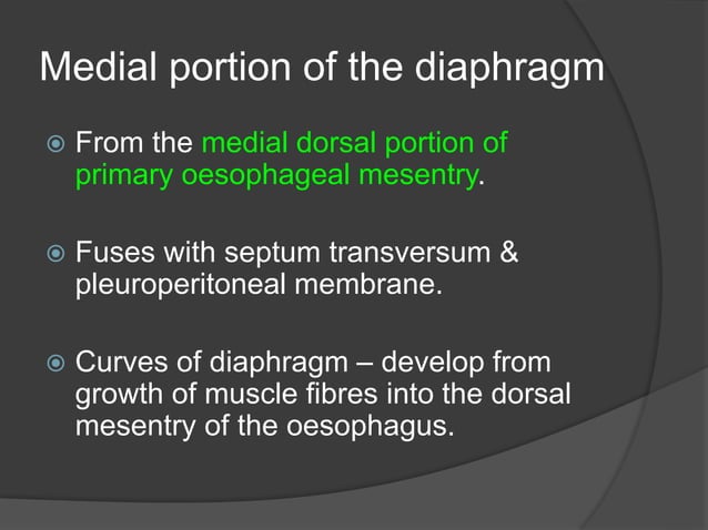 The diaphragm anatomy & embryology | PPTX