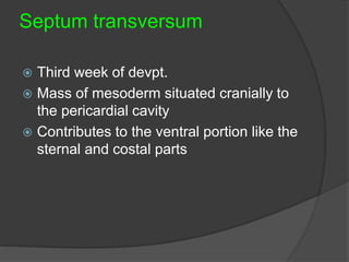 The diaphragm anatomy & embryology | PPTX