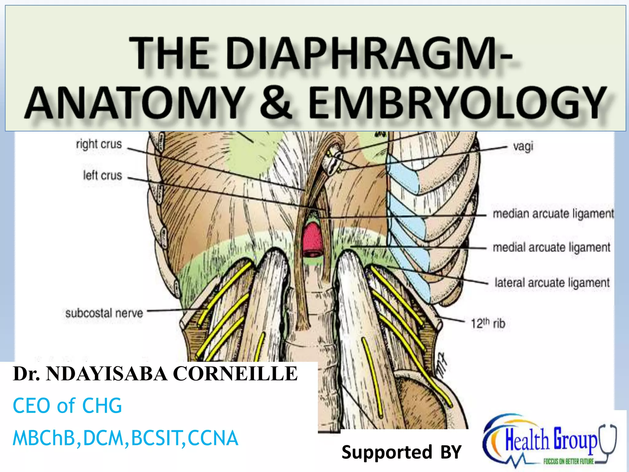 the Diaphragm- anatomy & embryology.pptx