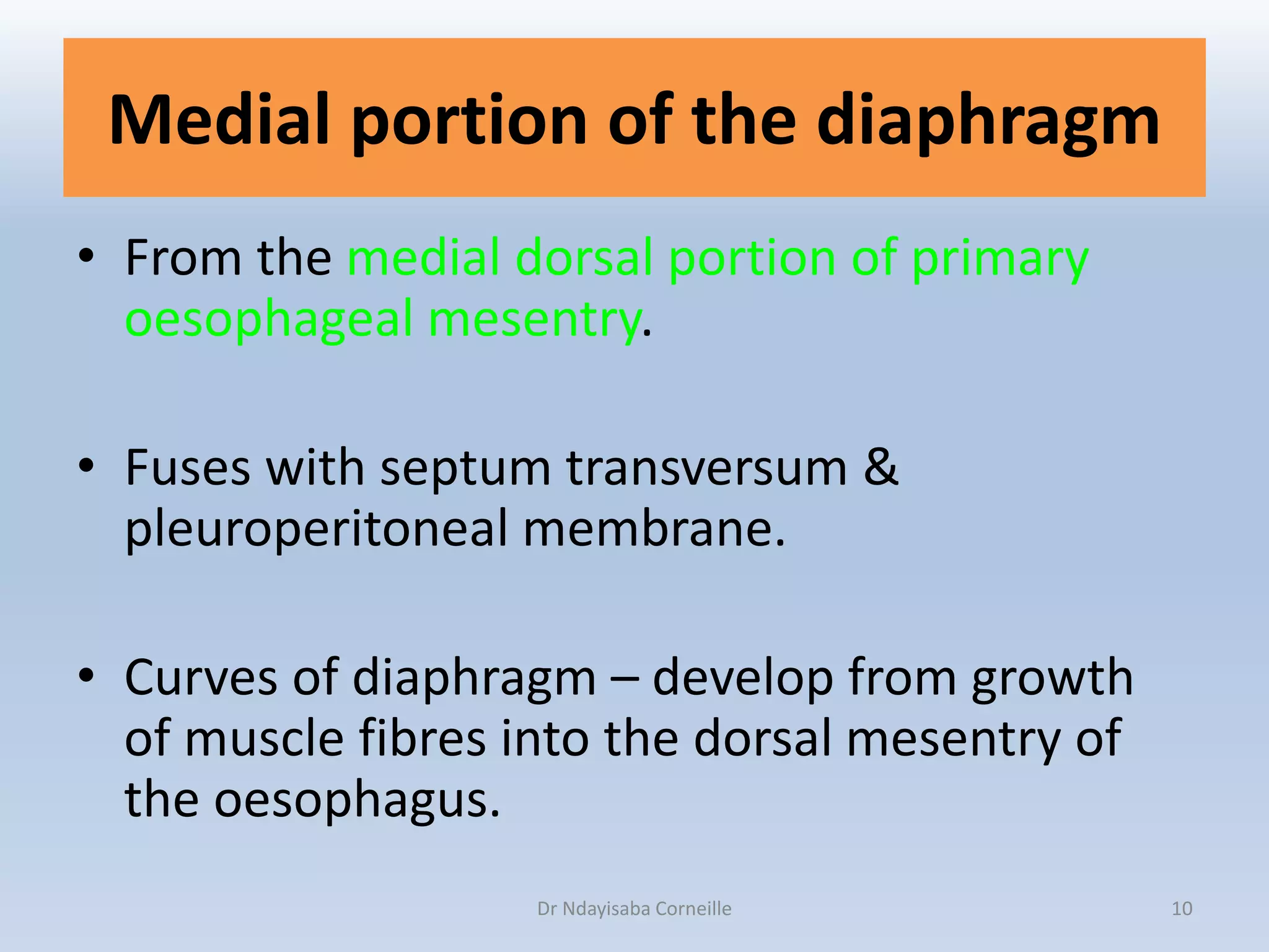the Diaphragm- anatomy & embryology.pptx