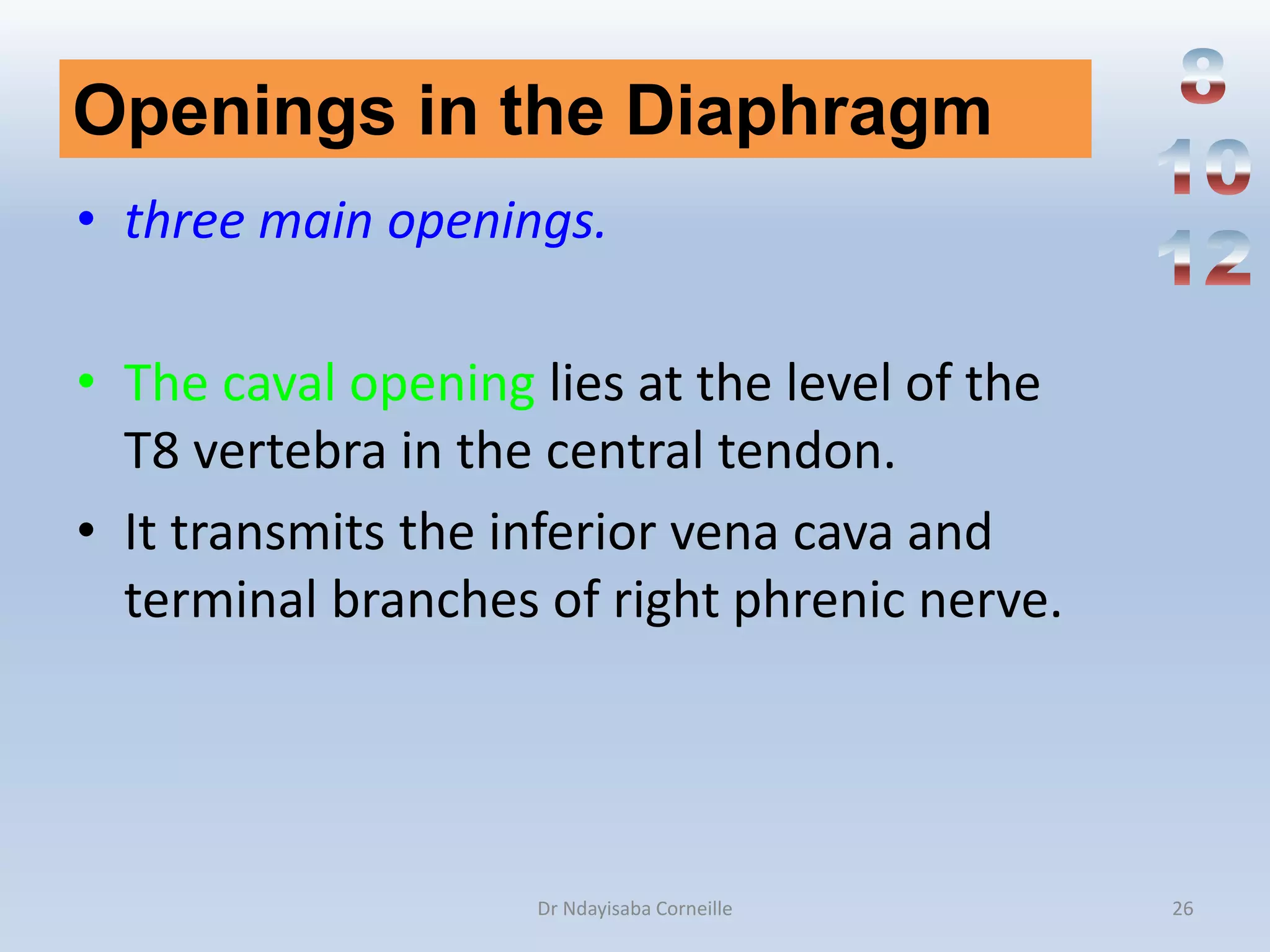 the Diaphragm- anatomy & embryology.pptx
