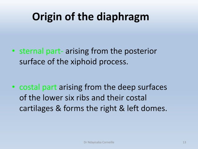 the Diaphragm- anatomy & embryology.pptx