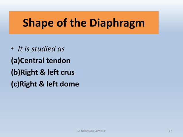 the Diaphragm- anatomy & embryology.pptx