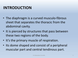 the Diaphragm- anatomy & embryology.pptx