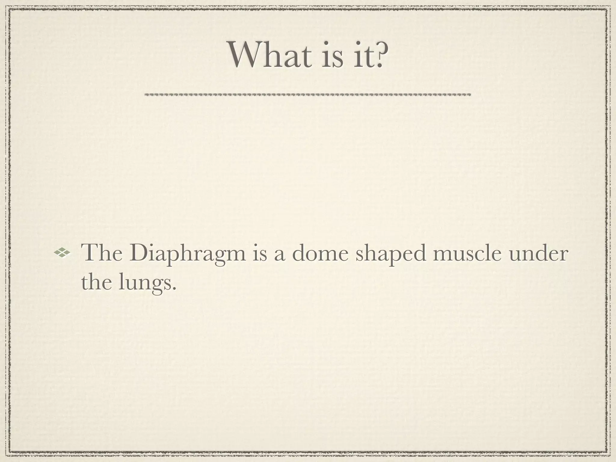 The diaphram | KEY