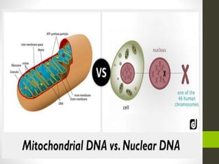 The different pattern of inheritance | PPTX | Genetics | Science