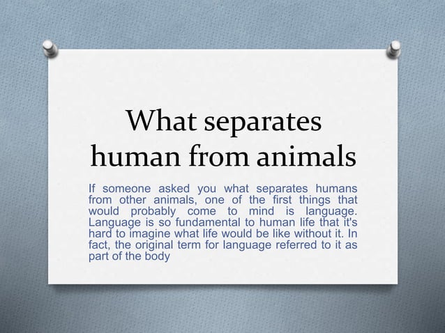 The difference between human and animal language | PPT