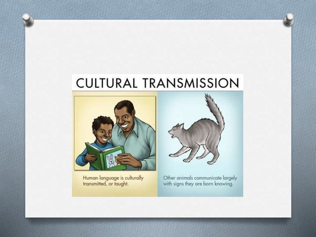 The difference between human and animal language | PPT