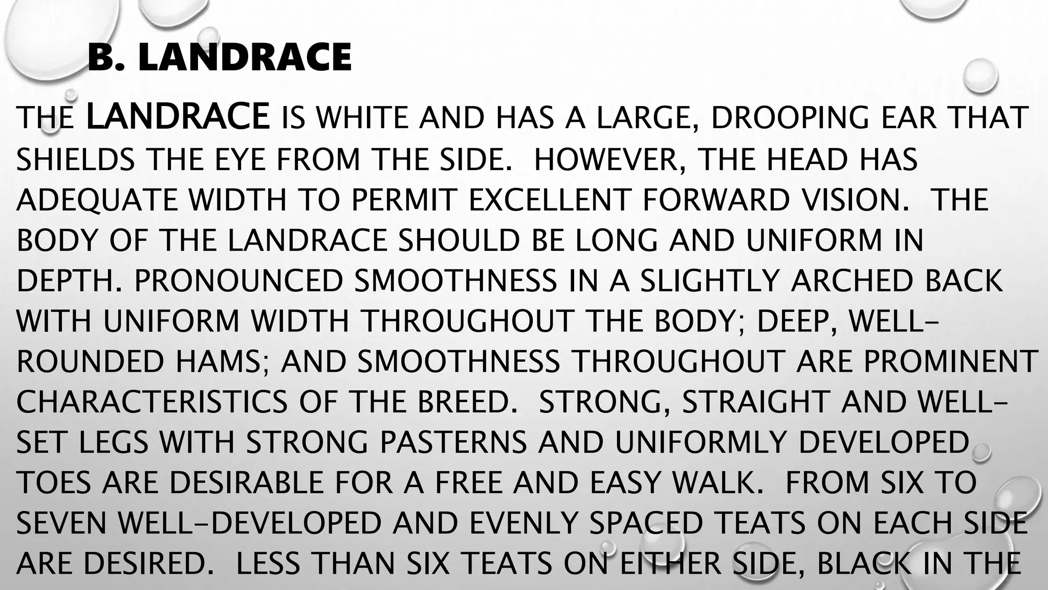 The different breeds of swine | PPTX