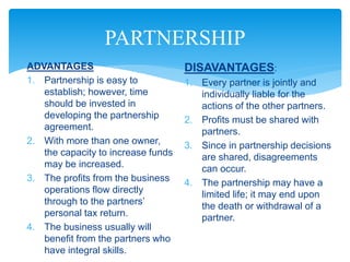 The different business organization.pptx