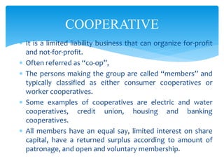 The different business organization.pptx