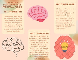 The different stages of human development_20231216_190356_0000.pdf