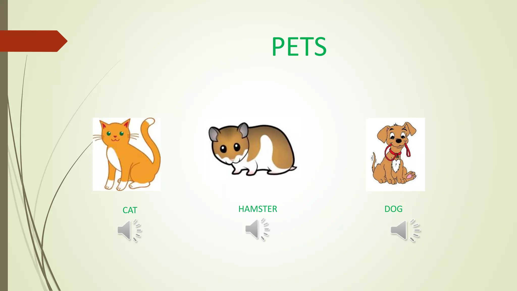 Classification of animals for children | PPTX
