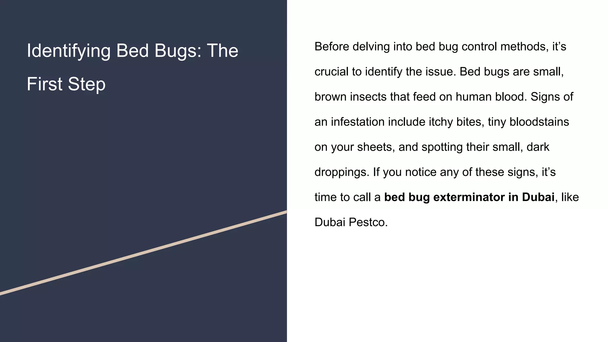 The Different Types of Bed Bug Control Methods in Dubai_ Which One is Right for You | PDF