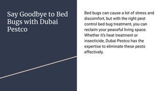 The Different Types of Bed Bug Control Methods in Dubai_ Which One is ...