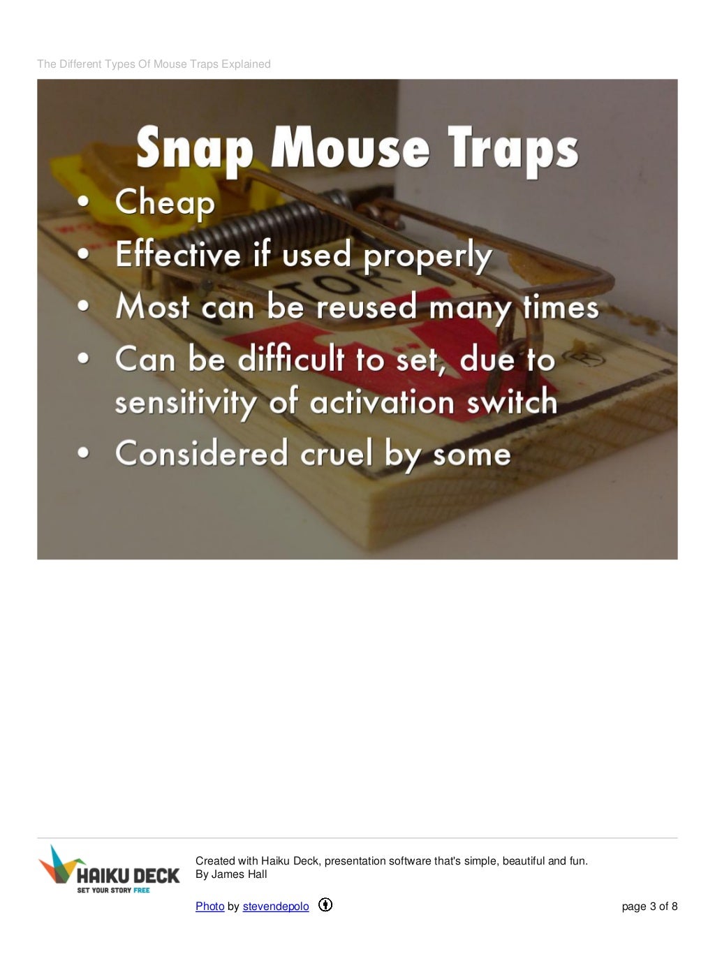 The different types of mouse traps explained