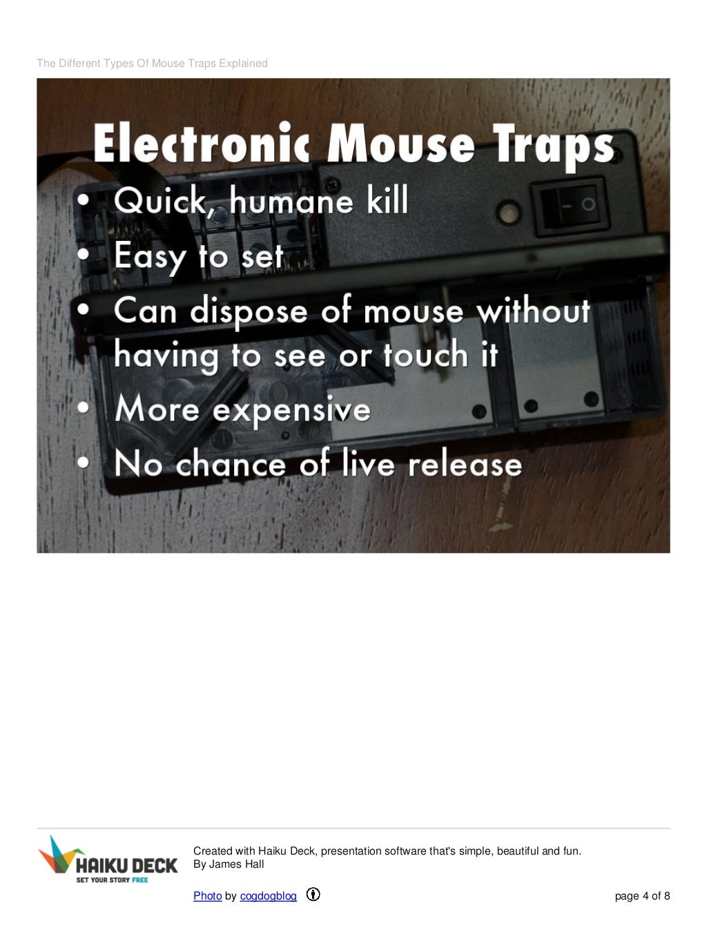 The different types of mouse traps explained