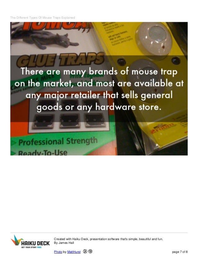 The different types of mouse traps explained