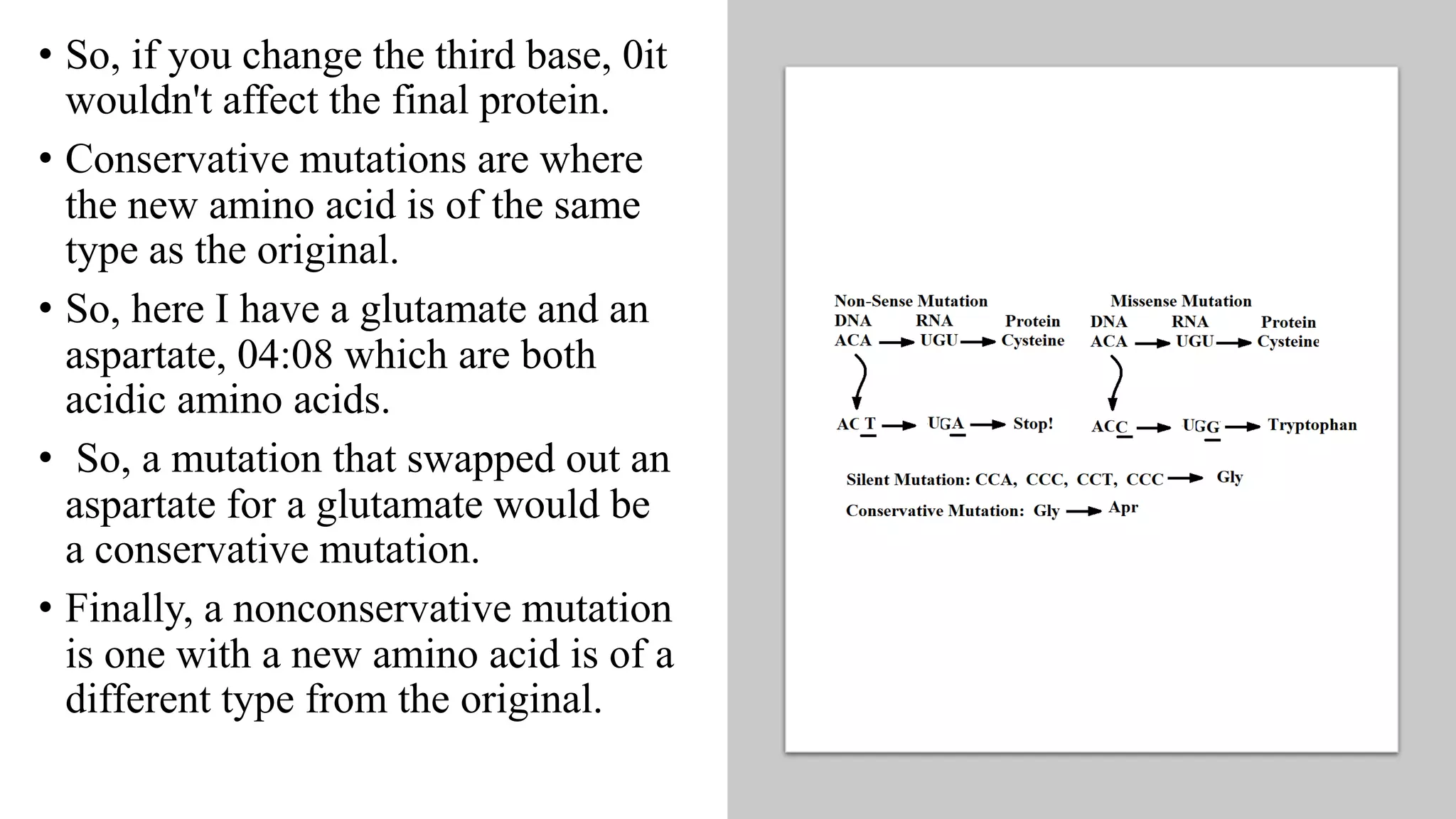 The different types of mutations | PDF