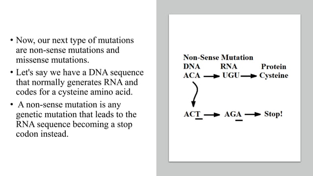 The different types of mutations | PDF