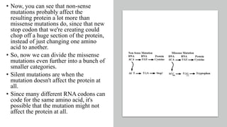 The different types of mutations | PDF