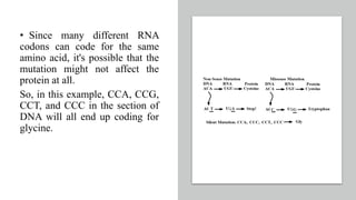 The different types of mutations | PDF