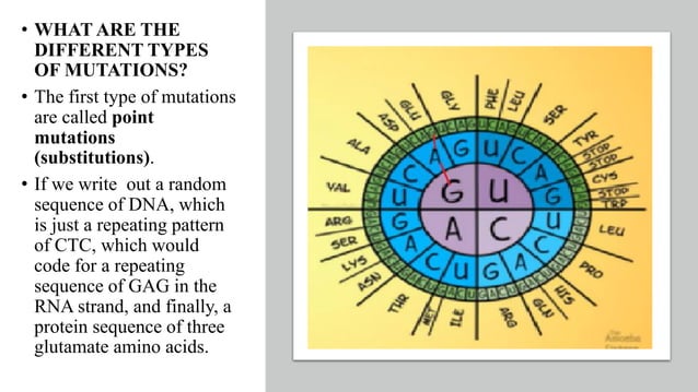 The different types of mutations | PDF