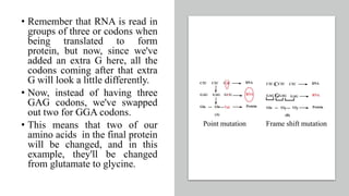 The different types of mutations | PDF