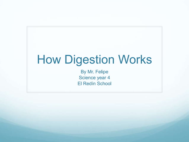 HOW DIGESTION WORKS | PPTX