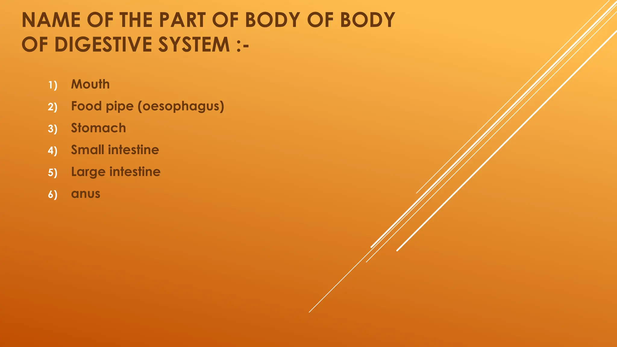 The digestive and excretory systems.pptx