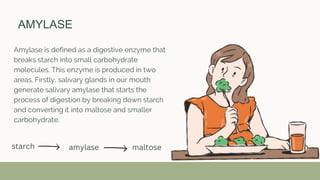 THE DIGESTIVE ENZYME - BSN1N - GROUP 6.pptx