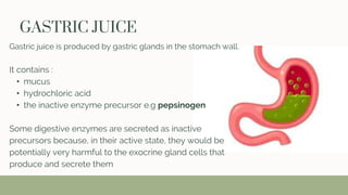 THE DIGESTIVE ENZYME - BSN1N - GROUP 6.pptx