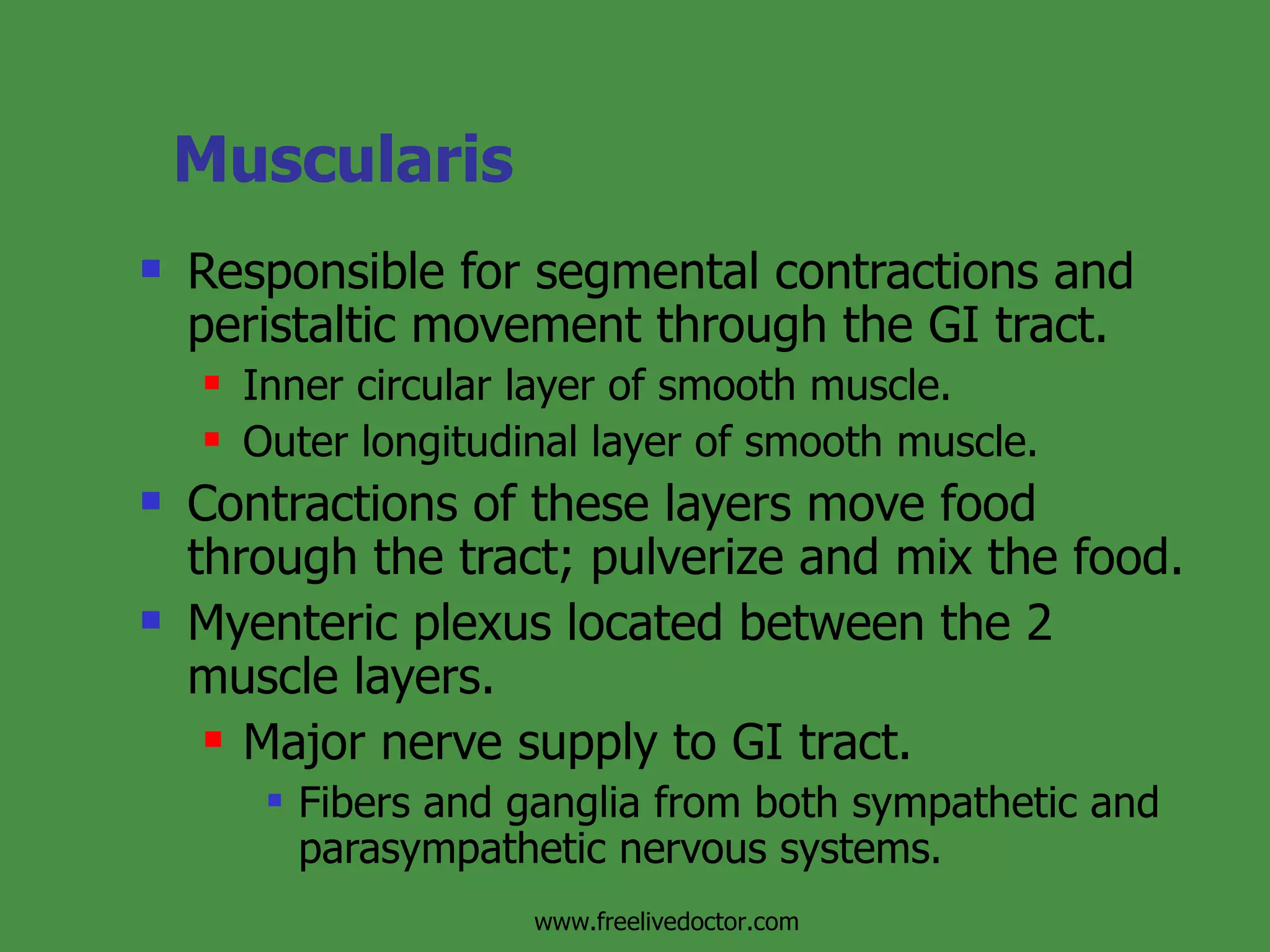 The Digestive System | PPT